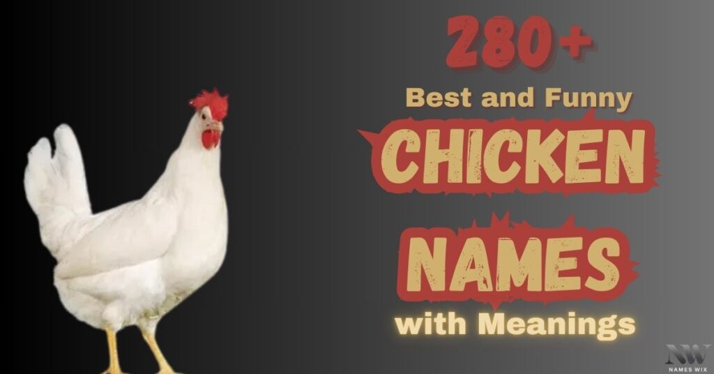 280+ Best and Funny Chicken Names with Meanings