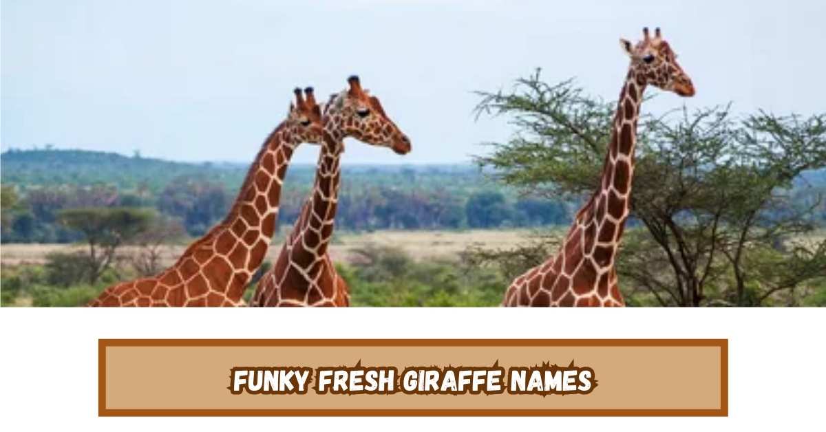 350+ Unique & Cute Giraffe Names & Generator (Meaningful Ideas + Poll)