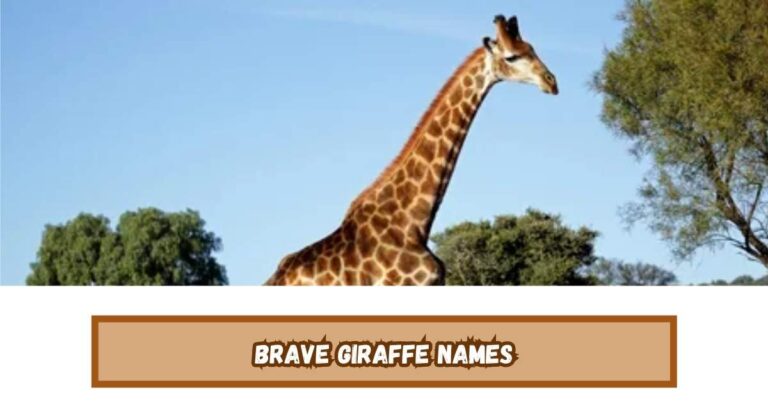 350+ Unique & Cute Giraffe Names & Generator (Meaningful Ideas + Poll)