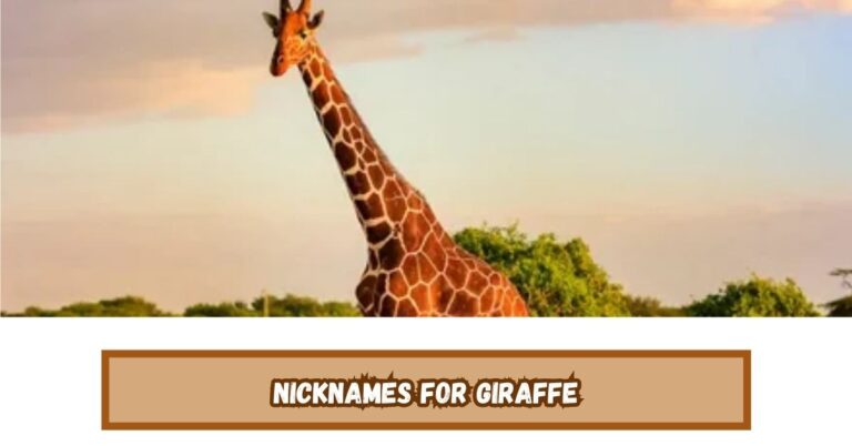 350+ Unique & Cute Giraffe Names & Generator (Meaningful Ideas + Poll)
