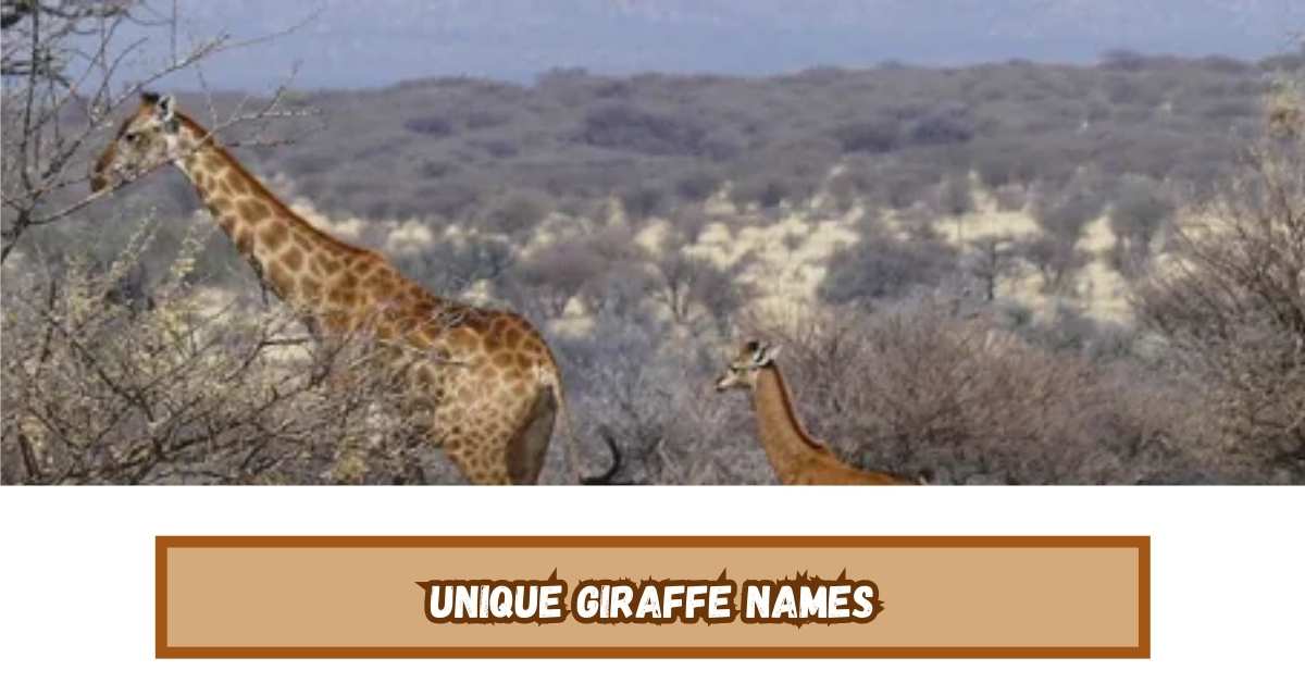 350+ Unique & Cute Giraffe Names & Generator (Meaningful Ideas + Poll)