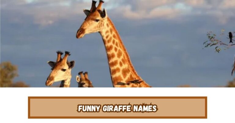 350+ Unique & Cute Giraffe Names & Generator (Meaningful Ideas + Poll)
