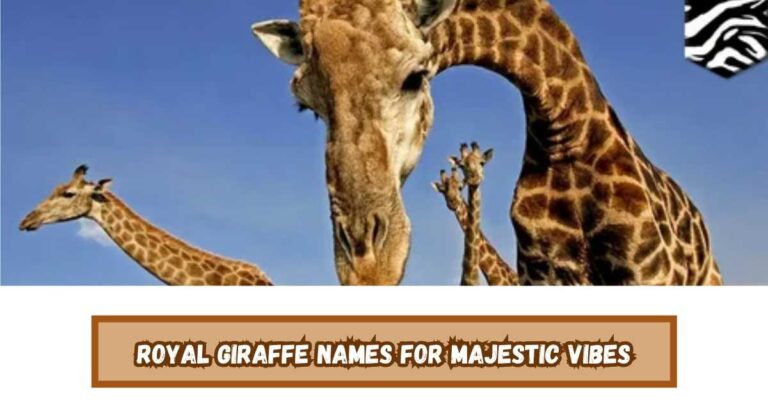 350+ Unique & Cute Giraffe Names & Generator (Meaningful Ideas + Poll)