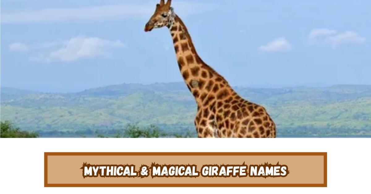 350+ Unique & Cute Giraffe Names & Generator (Meaningful Ideas + Poll)
