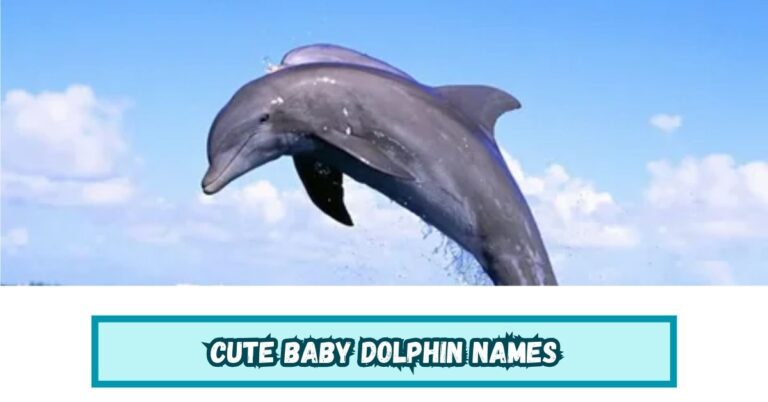 300+ Cute and Best Dolphin Names & Generator [Meaningful Ideas]