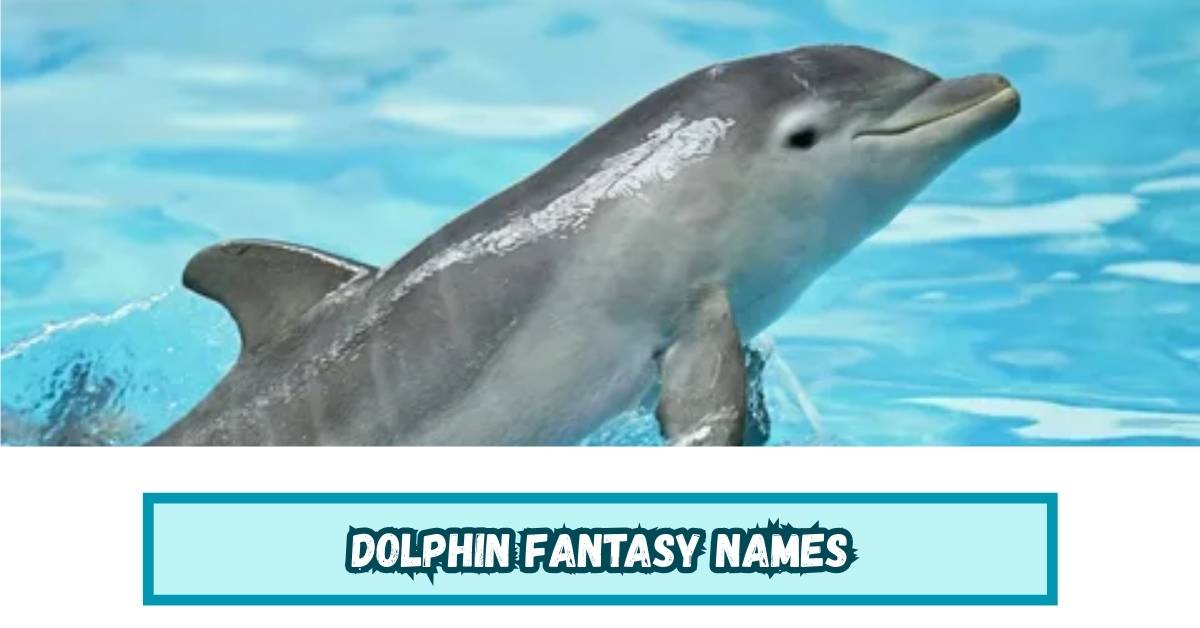 300+ Cute and Best Dolphin Names & Generator [Meaningful Ideas]