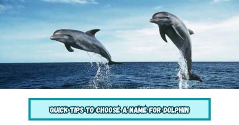 300+ Cute and Best Dolphin Names & Generator [Meaningful Ideas]
