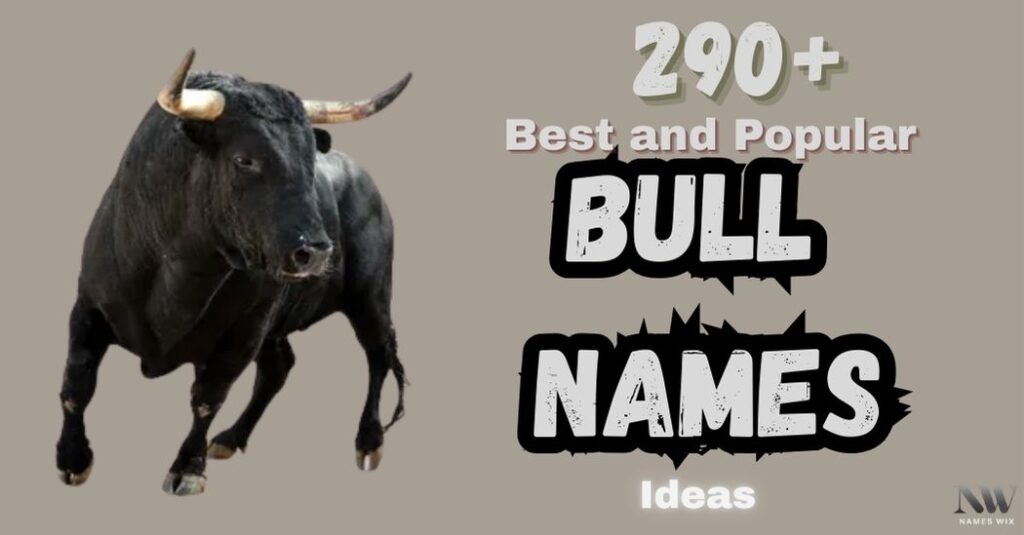 290+ Best and Popular Bull Names & Generator Ideas