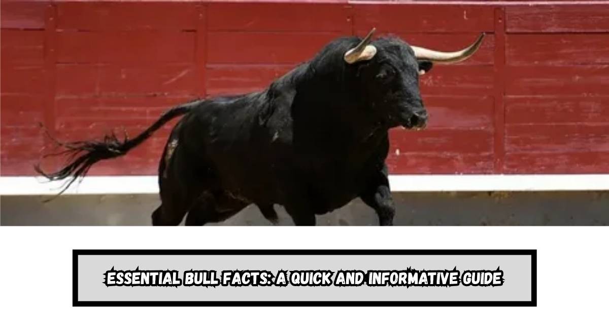 290+ Best and Popular Bull Names & Generator Ideas