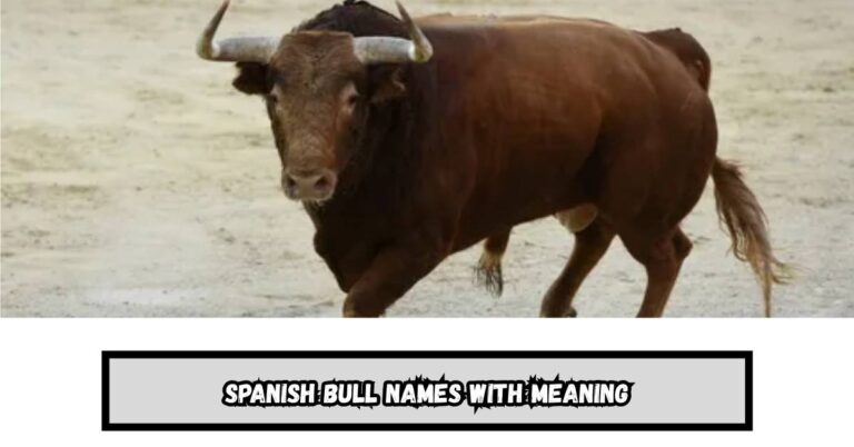 290+ Best and Popular Bull Names & Generator Ideas
