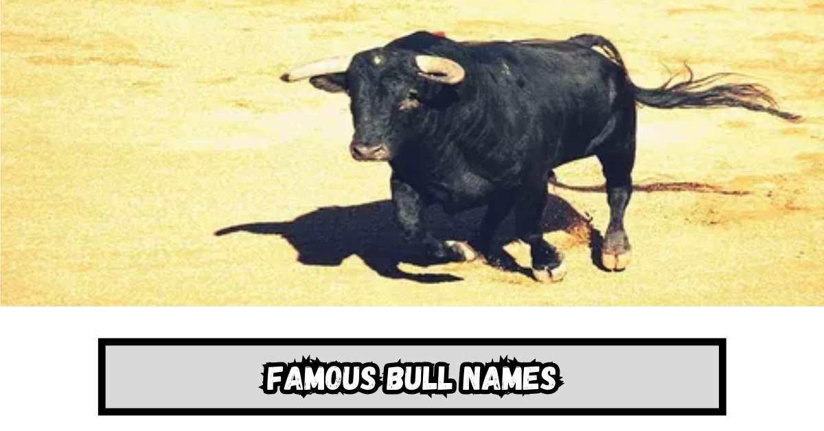 290+ Best and Popular Bull Names & Generator Ideas