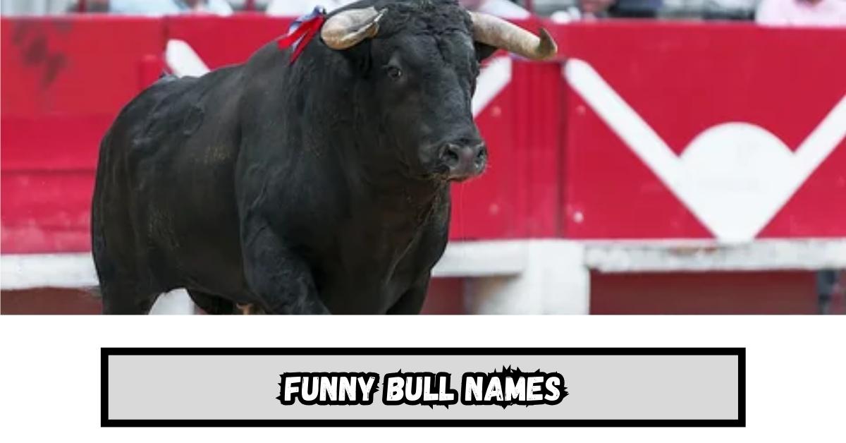 290+ Best and Popular Bull Names & Generator Ideas