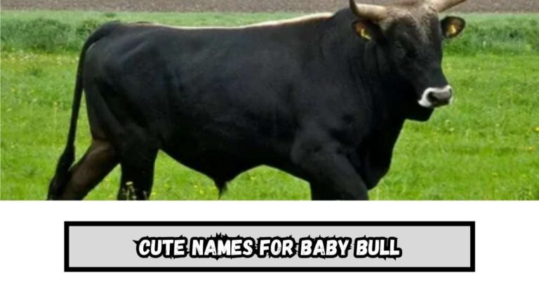290+ Best and Popular Bull Names & Generator Ideas
