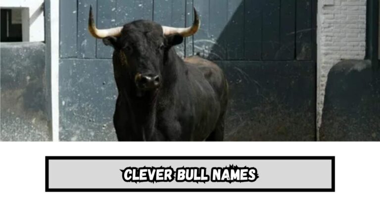 290+ Best and Popular Bull Names & Generator Ideas