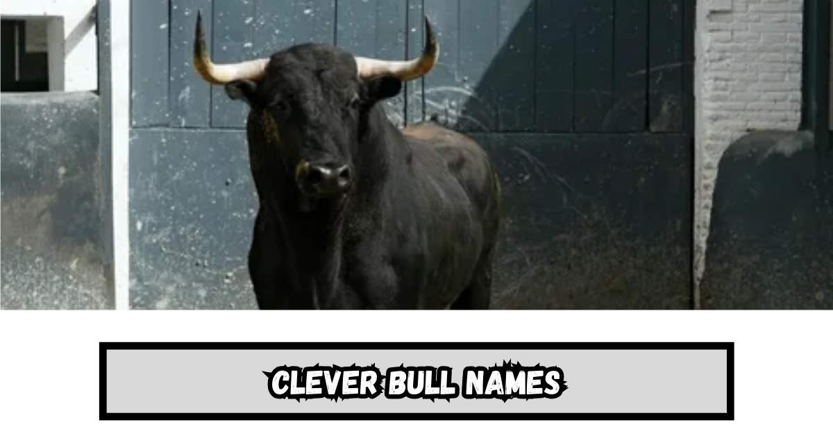 290+ Best and Popular Bull Names & Generator Ideas