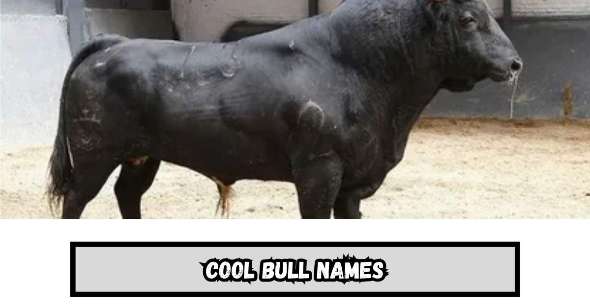 290+ Best and Popular Bull Names & Generator Ideas