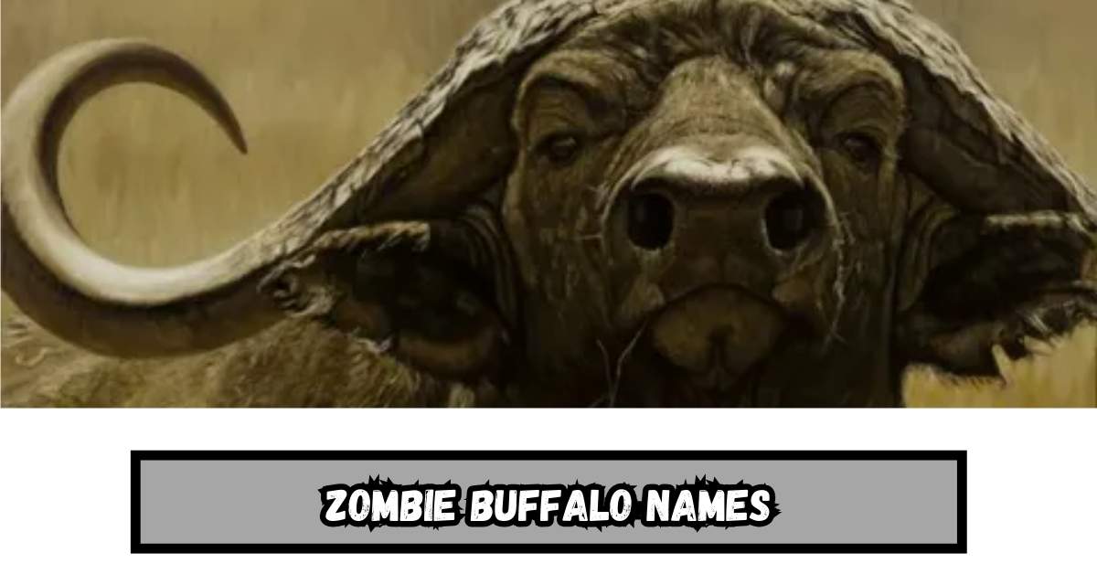 500+ Famous and Catchy Buffalo Names & Generator [Meaningful Ideas]