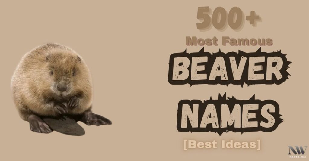 500+ Most Famous Beaver Names & Generator [Best Ideas]