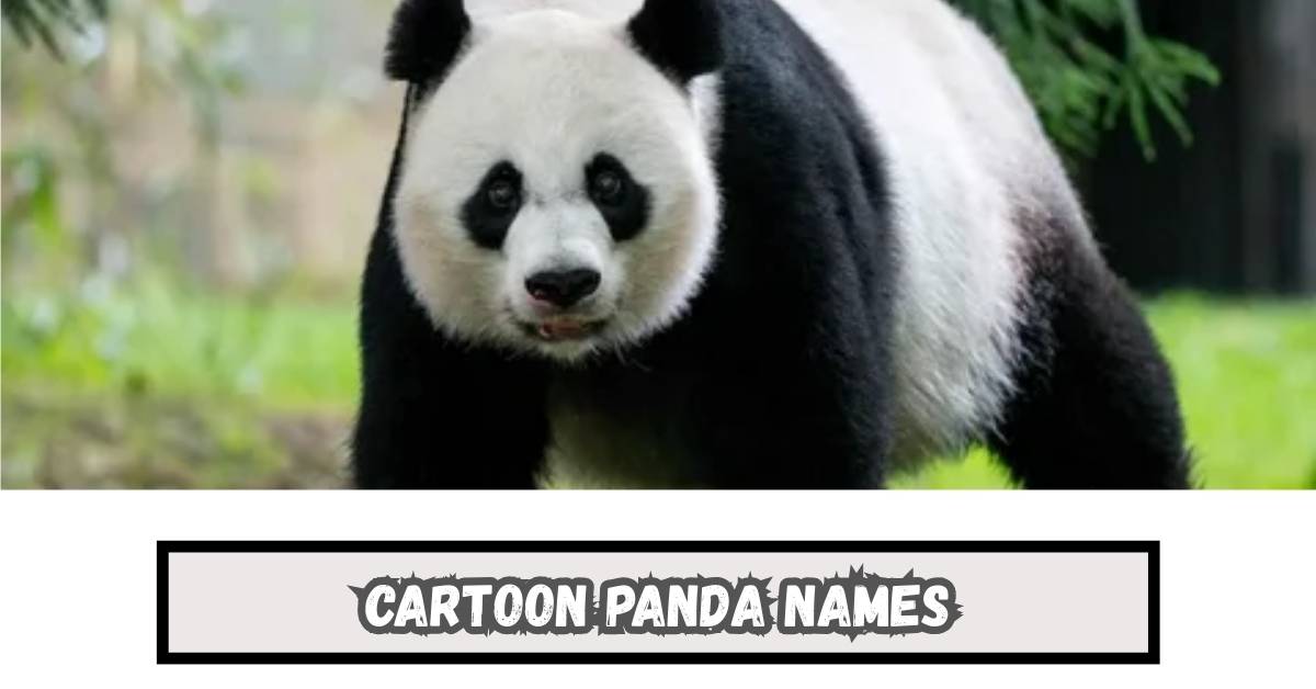 450+ Cool and Cute Panda Names & Generator [Best Ideas]