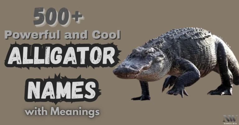 500+ Powerful and Cool Alligator Names & Generator with Meanings