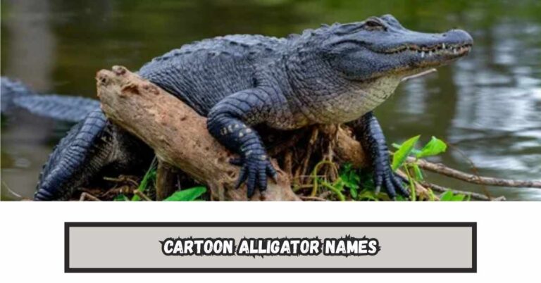 500+ Powerful and Cool Alligator Names & Generator with Meanings