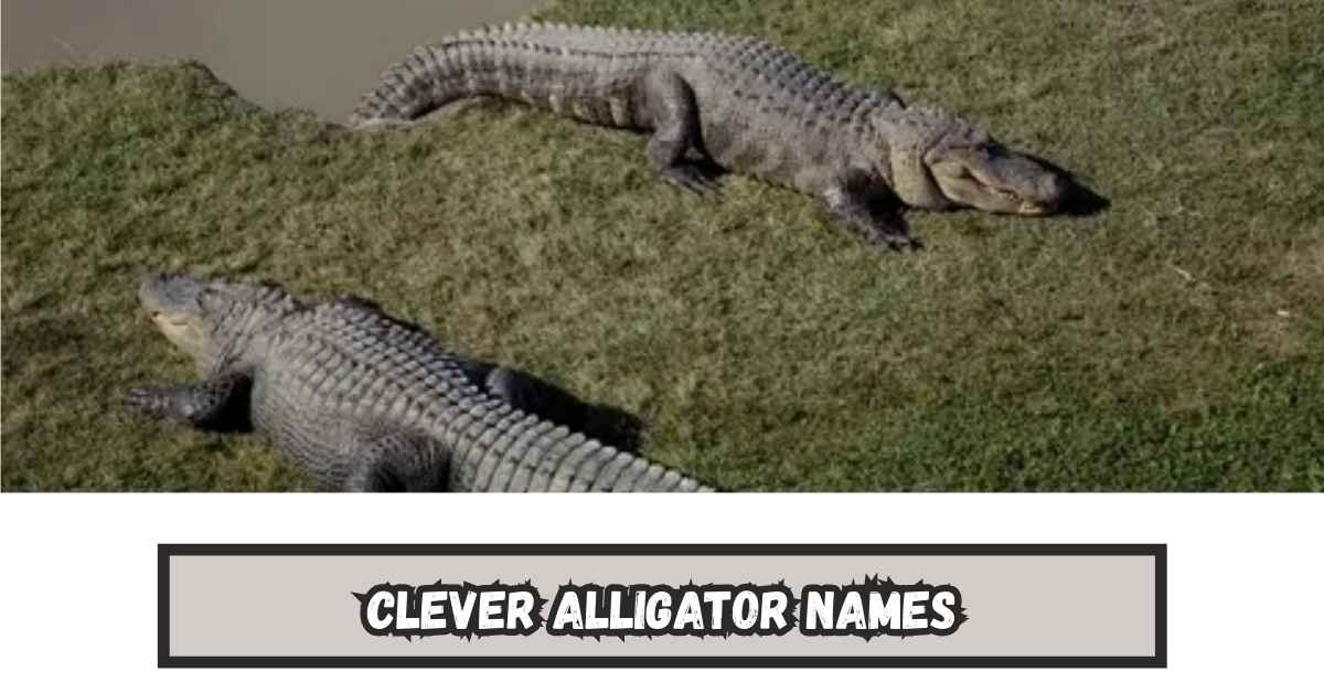 500+ Powerful and Cool Alligator Names & Generator with Meanings