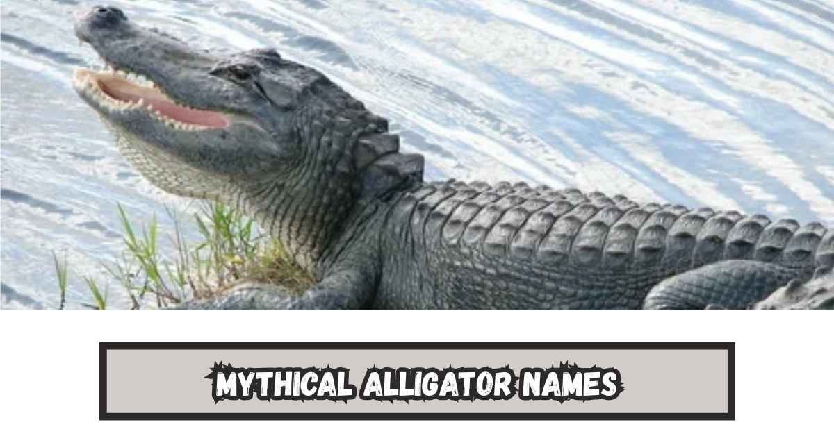 500+ Powerful and Cool Alligator Names & Generator with Meanings