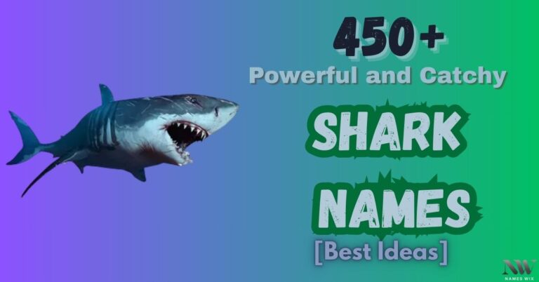 450+ Powerful and Catchy Shark Names & Generator [Best Ideas]