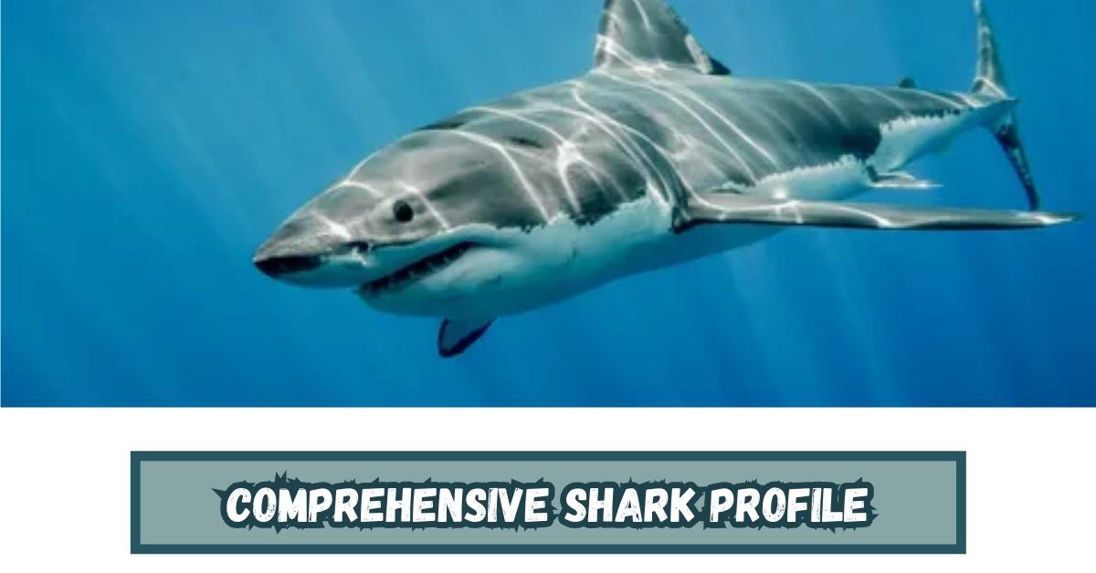 450+ Powerful and Catchy Shark Names & Generator [Best Ideas]