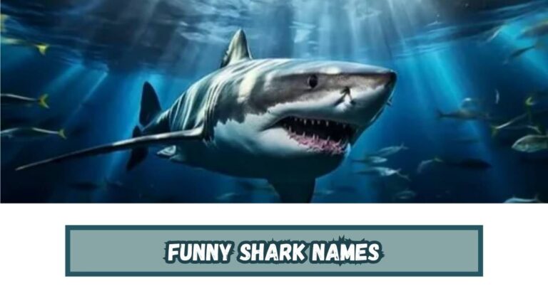 450+ Powerful and Catchy Shark Names & Generator [Best Ideas]