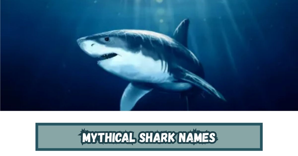 450+ Powerful and Catchy Shark Names & Generator [Best Ideas]