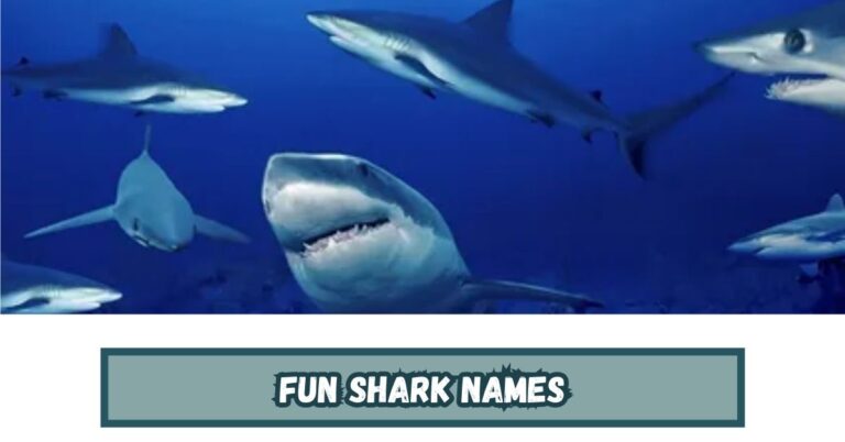 450+ Powerful and Catchy Shark Names & Generator [Best Ideas]