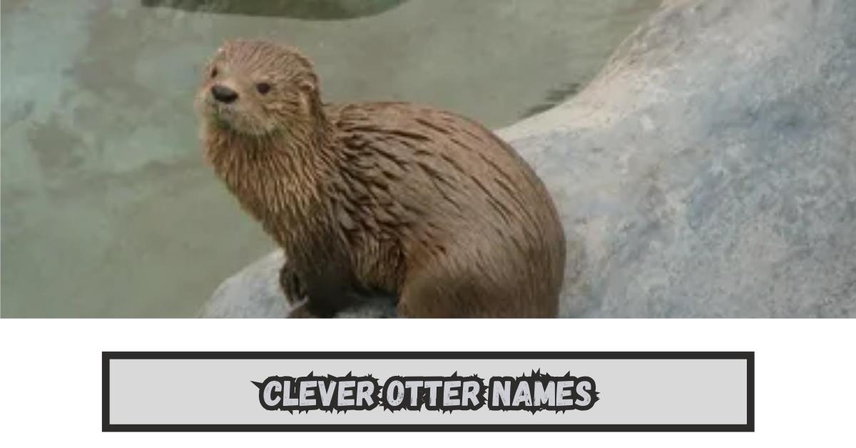 450+ Cute and punny Otter Names & Generator [Meaningful Ideas+Poll]