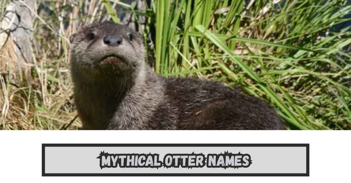 450+ Cute and punny Otter Names & Generator [Meaningful Ideas+Poll]