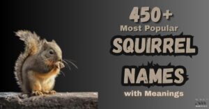 450+ Most Popular Squirrel Names & Generator with Meanings