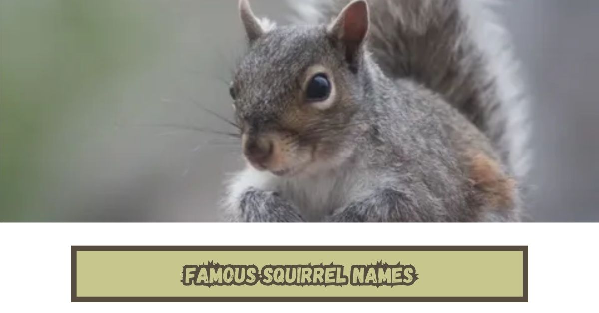 450+ Most Popular Squirrel Names & Generator with Meanings