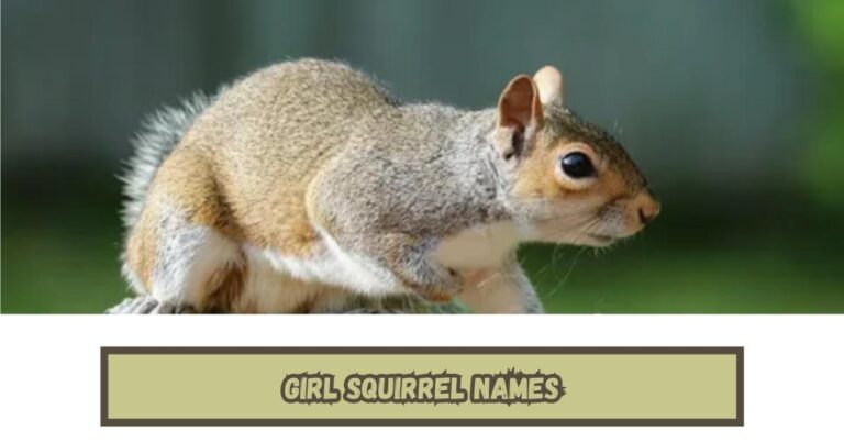 450+ Most Popular Squirrel Names & Generator with Meanings