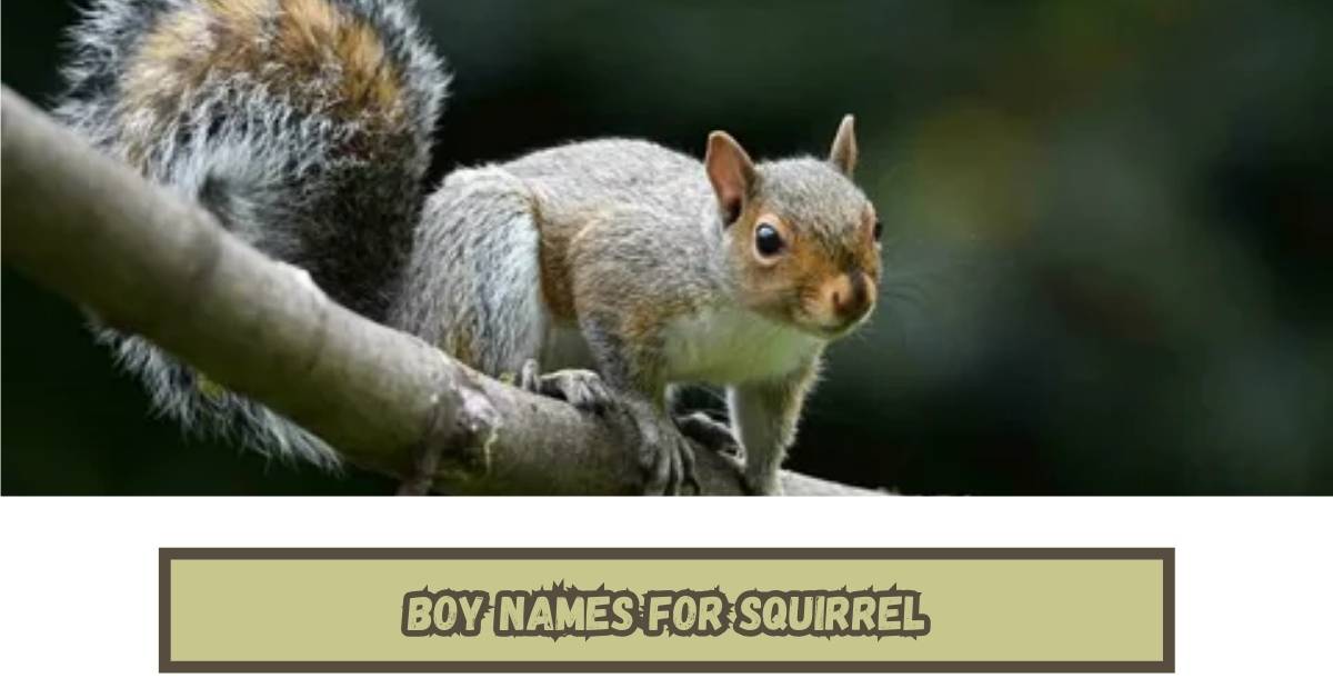 450+ Most Popular Squirrel Names & Generator with Meanings