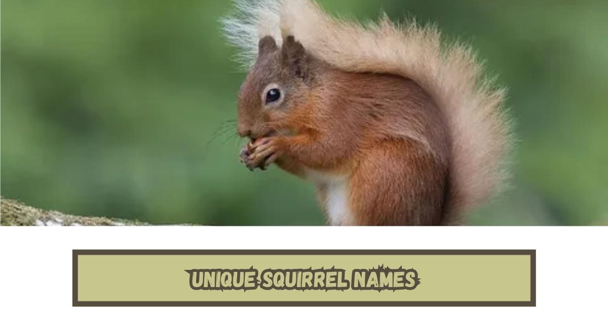 450+ Most Popular Squirrel Names & Generator with Meanings