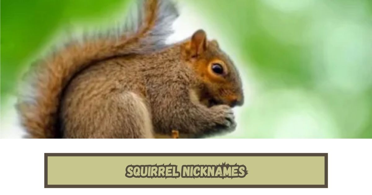 450+ Most Popular Squirrel Names & Generator with Meanings