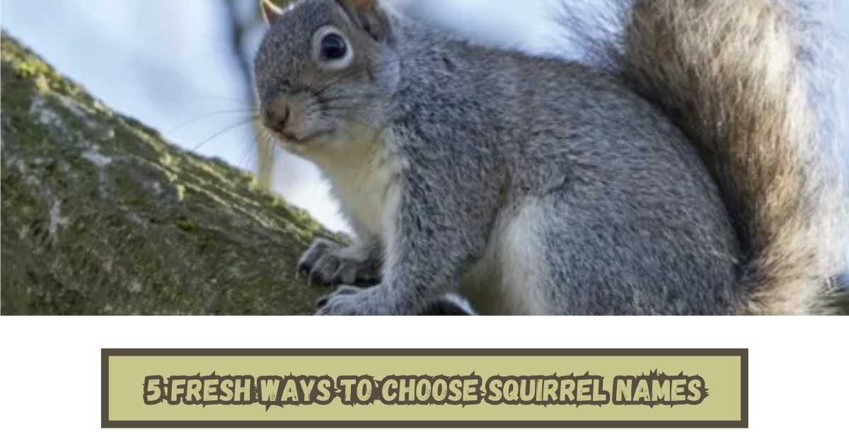 450+ Most Popular Squirrel Names & Generator with Meanings