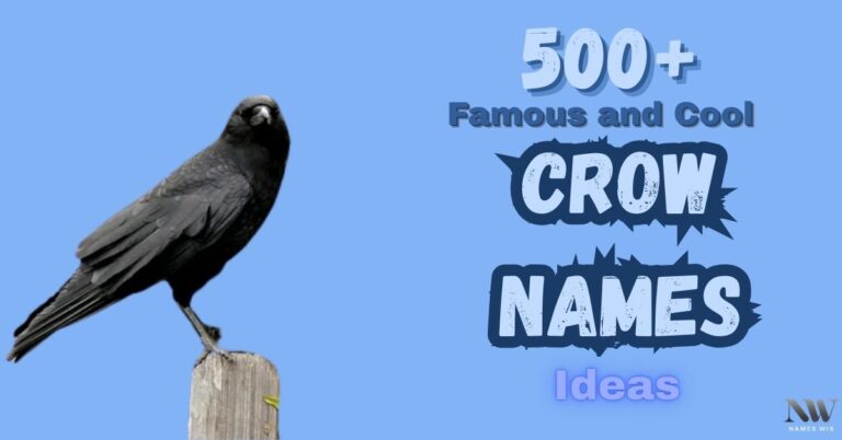 500+ Famous and Cool Crow Names & Generator Ideas
